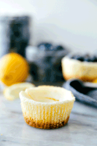 Cheesecake GIFs - Get the best gif on GIFER