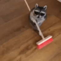 Work GIFs - Get the best gif on GIFER