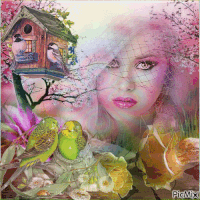 Images GIFs - Get the best gif on GIFER