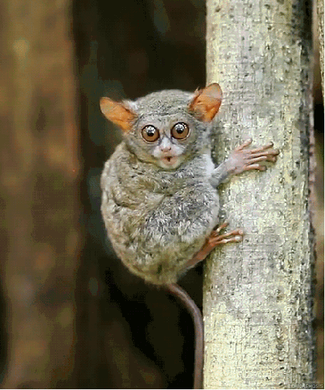 Unique гифки, анимированные GIF изображения unique - скачать гиф ...