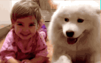Partnering GIFs - Get the best gif on GIFER