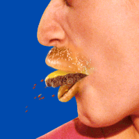 Raspberry GIFs - Get the best gif on GIFER