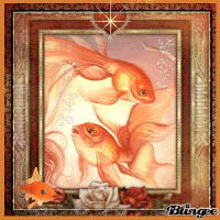 Goldfish GIFs - Get the best gif on GIFER