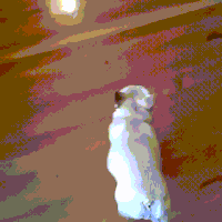 Solution GIFs - Get the best gif on GIFER