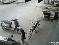 Scooter GIFs - Get the best gif on GIFER