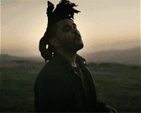 Xotwod GIFs - Get the best gif on GIFER