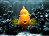 Cheeky GIFs - Get the best gif on GIFER