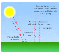 Rainfall GIFs - Get the best gif on GIFER