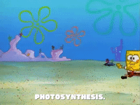 129 GIFs - Get the best gif on GIFER