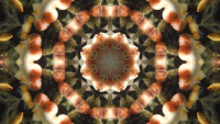 Symmetry GIFs - Get the best gif on GIFER