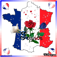 France GIFs - Get the best gif on GIFER