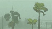 Cyclone GIFs - Get the best gif on GIFER