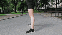 Calves GIFs - Get the best gif on GIFER