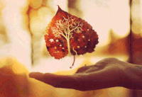 Spiritual GIFs - Get the best gif on GIFER