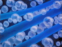 Shampoo GIFs - Get the best gif on GIFER