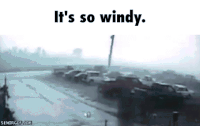 Windy GIFs - Get the best gif on GIFER