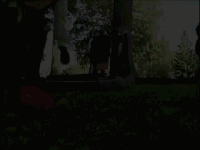 Active GIFs - Get the best gif on GIFER