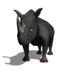 Rinoceronte GIFs - Get the best gif on GIFER