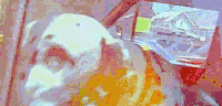 L7 weenie GIFs - Obtenez le meilleur gif sur GIFER