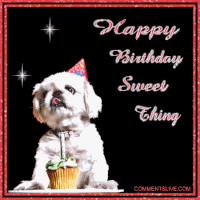 Pbp GIFs - Get the best gif on GIFER