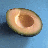 Avocado GIFs - Get the best gif on GIFER