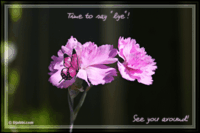 Farewell GIFs - Get the best gif on GIFER