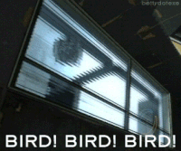 Wasp GIFs - Get the best gif on GIFER