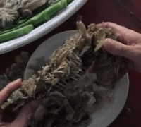 Discreet GIFs - Get the best gif on GIFER