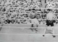 Macao GIFs - Get the best gif on GIFER