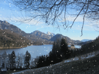 Inaccurate GIFs - Get the best gif on GIFER