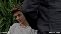 Fern GIFs - Get the best gif on GIFER