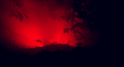 Almo GIFs - Get the best gif on GIFER