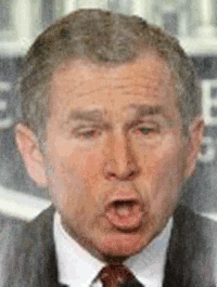 George bush GIFs - Get the best gif on GIFER