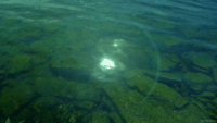 Lake GIFs - Get the best gif on GIFER
