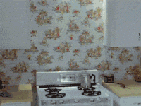 Kitchen nightmares GIFs - Get the best gif on GIFER