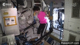 Ssi GIFs - Get the best gif on GIFER