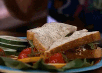 Guest GIFs - Get the best gif on GIFER