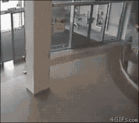 Drunk fail GIFs - Get the best gif on GIFER