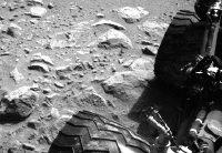 Curiosity GIFs - Get the best gif on GIFER