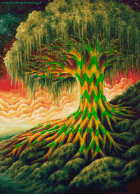 Naturaleza GIF - Conseguir el mejor gif en GIFER