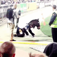 Talisman GIFs - Get the best gif on GIFER