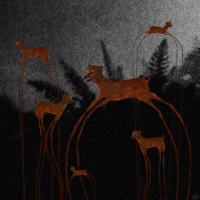 Strange GIFs - Get the best gif on GIFER