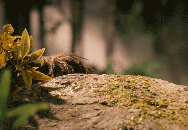 Caveman GIFs - Get the best gif on GIFER