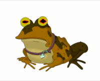 Hypnotoad GIFs - Get the best gif on GIFER