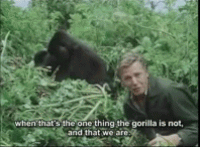 Attenborough GIFs - Get the best gif on GIFER