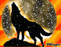 Loup GIFs - Get the best gif on GIFER