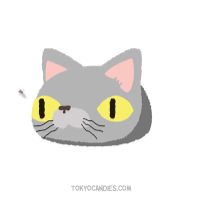 Distraction GIFs - Get the best gif on GIFER