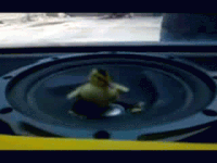 Bass GIFs - Get the best gif on GIFER