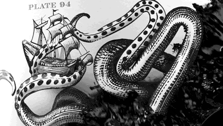 Black spiced rum GIF - Conseguir o melhor gif em GIFER