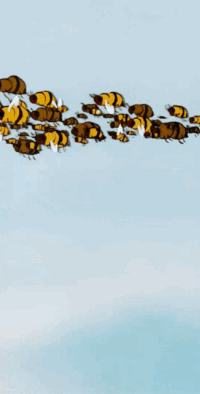 Whee GIFs - Get the best gif on GIFER